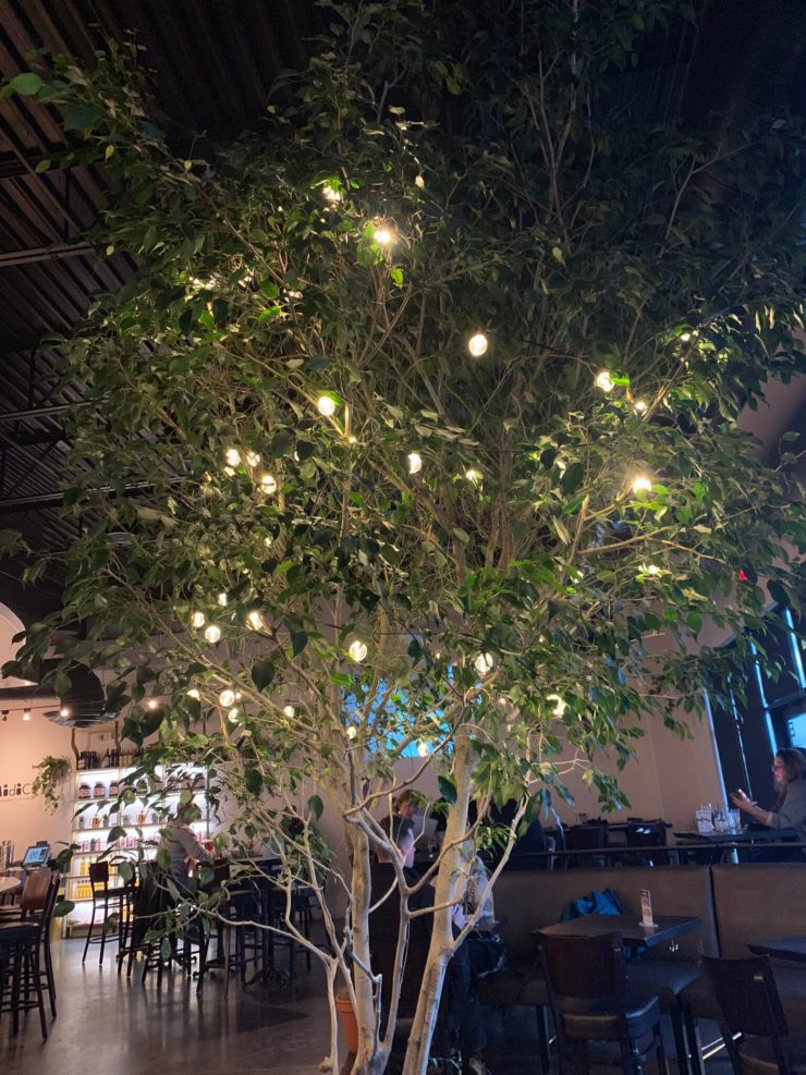 MidiCi_menu_7092 | CRCO